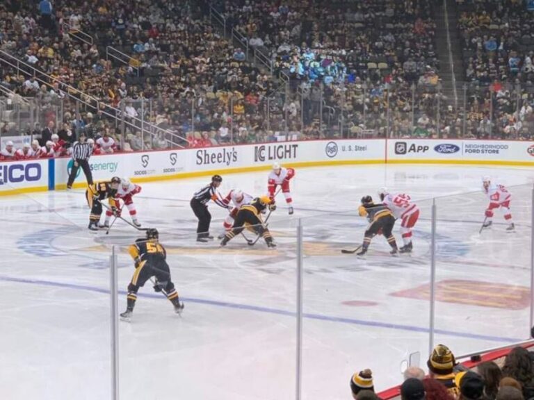 Pittsburgh: Pittsburgh Penguins Ice Hockey Game Ticket - The Ticket and Seating Details: What to Expect