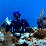 Playa del Carmen: 2-Tank Reef Dive - What You Can Expect from the Playa del Carmen 2-Tank Reef Dive