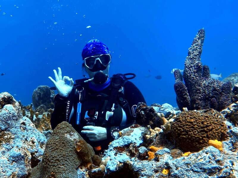 Playa del Carmen: 2-Tank Reef Dive - What You Can Expect from the Playa del Carmen 2-Tank Reef Dive