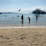 Playa del Carmen: Catamaran Unlimited Tour to Isla Mujeres - Practical Insights and Considerations