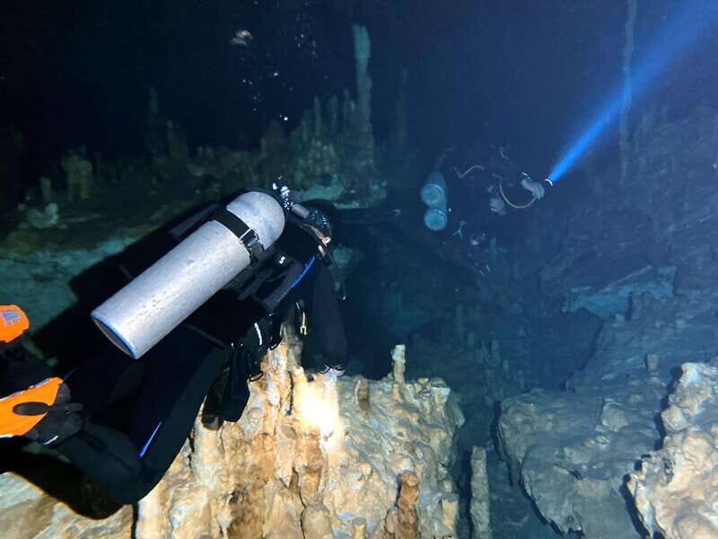 Playa del Carmen: Cenote Diving Experience - What Is the Playa del Carmen Cenote Diving Experience?