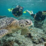 Playa del Carmen: Discover the Surreal World of Scuba Diving - Who Should Consider This Experience?