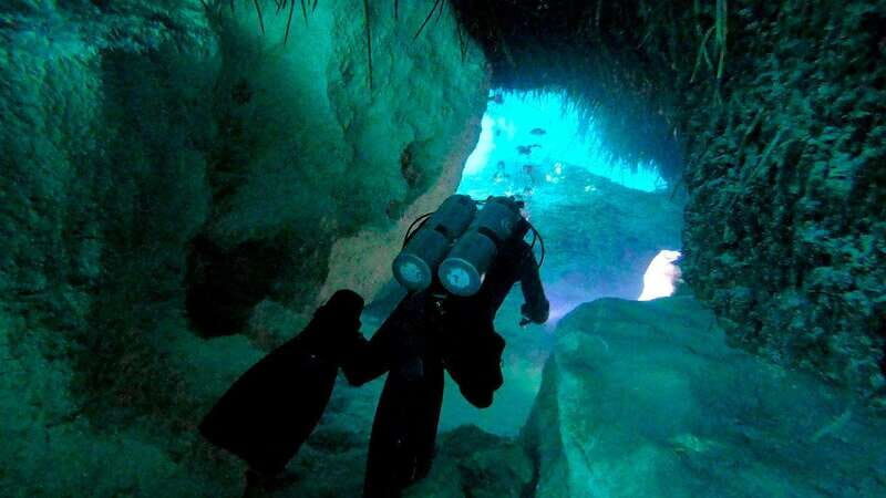 Playa del Carmen: Dual Realm Diving (Cenote + Reef Diving) - What’s Included and Practicalities