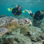 Playa del Carmen: Extreme Cozumel Diving by Speed Boat - Value and Price Analysis