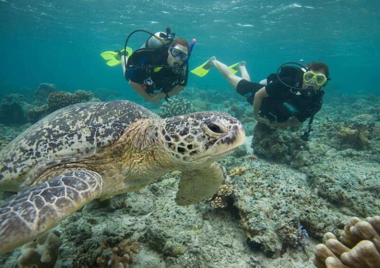 Playa del Carmen: Extreme Cozumel Diving by Speed Boat - Value and Price Analysis