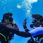 Playa del Carmen: Fun Dive Experience for Certified Divers - The Itinerary: How Your Day Unfolds