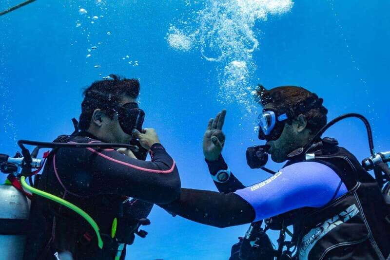 Playa del Carmen: Fun Dive Experience for Certified Divers - The Itinerary: How Your Day Unfolds