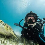 Playa del Carmen: Guided Reef Diving for Certified Divers - What to Expect from the Itinerary