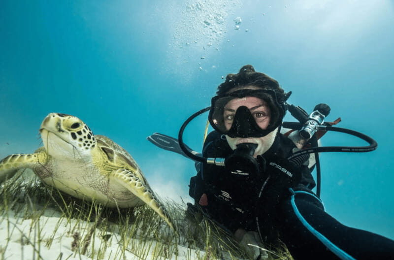 Playa del Carmen: Guided Reef Diving for Certified Divers - What to Expect from the Itinerary