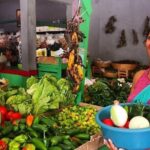 Playa del Carmen Mexican Cooking Class - The Authentic Flavor of Mexican Home Cooking