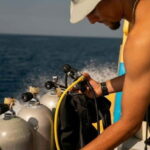 Playa del Carmen: Refresher Dive - Why Choose This Experience?