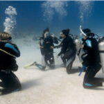 Playa del Carmen: Scuba Diver Certification Course - The Itinerary Breakdown