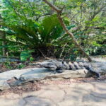 Playa del Carmen: Tour to Chichén Itzá and Valladolid - Real Traveler Perspectives
