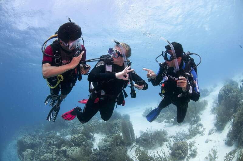 Playa del Carmen: Ultimate PADI Open Water Diver Experience - What You Can Expect: A Breakdown of the Course