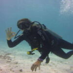 Playa: Dive in Cozumel - The Itinerary Breakdown