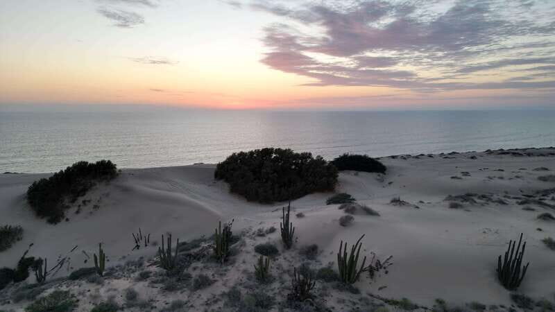 Playa el Cardonal: tour and sandboarding activity in the dunes of Sahuimaro - Sandboarding in the Dunes