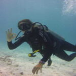 Playa: Night Dive - Who Should Consider This Tour?