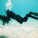 Playa: PADI Dive Master - The Details: Breaking Down the Itinerary