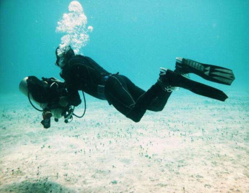 Playa: PADI Dive Master - The Details: Breaking Down the Itinerary