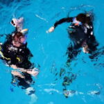 Playa: Scuba Discovery - What’s Included and What to Expect
