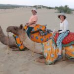 Pleasant Non-Touristic Overnight Camel Safari (From 2:00 PM to Approx. 10:30AM) - Who Is This Tour Best For?