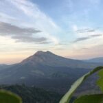 Point View of Kintamani Vulcano and Ubud Tour - Who Will Love This Tour?