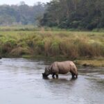 Pokhara: 1 Night 2 Day Chitwan Safari Tour - What to Expect on This Short Adventure