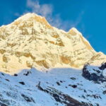 Pokhara: 7 Day Annapurna Base Camp Trek with Wildlife Tour - The Value of This Tour