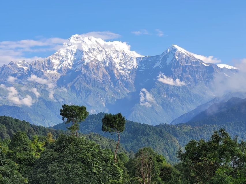 Pokhara: Day Hike to Australian Camp and Dhampus Village - Details That Matter