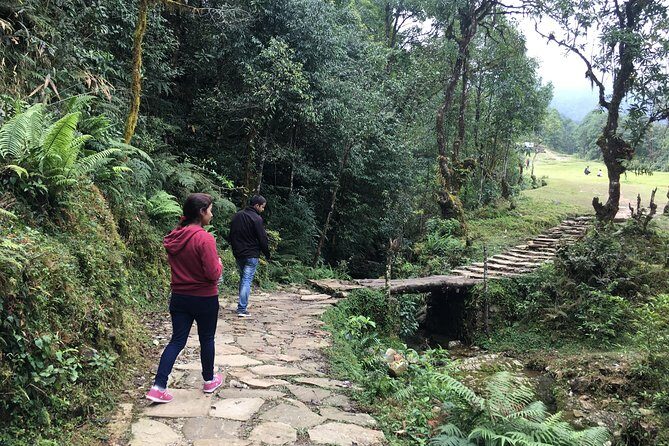 Pokhara: Day Hiking form Dhampus to Australian Camp - Key Points