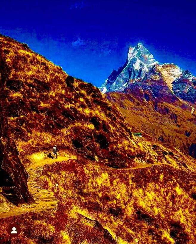 Pokhara: Mardi Himal Trek with 1 Night in a Forest Camp - The Experience: What Travelers Can Expect