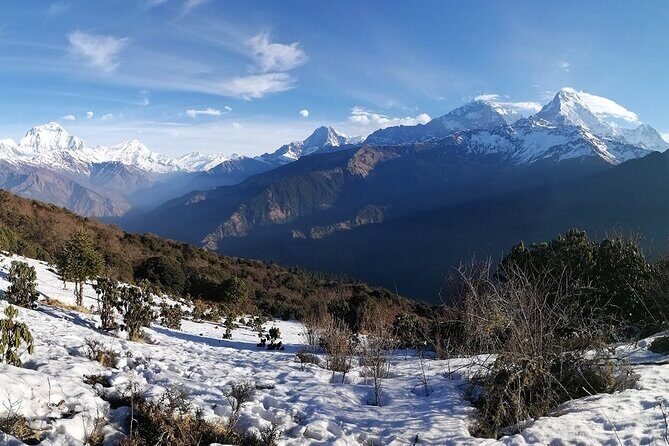 Pokhara Private Tour 2 Day Poon Hill Short Trek - Practical Details: Navigating the Trek