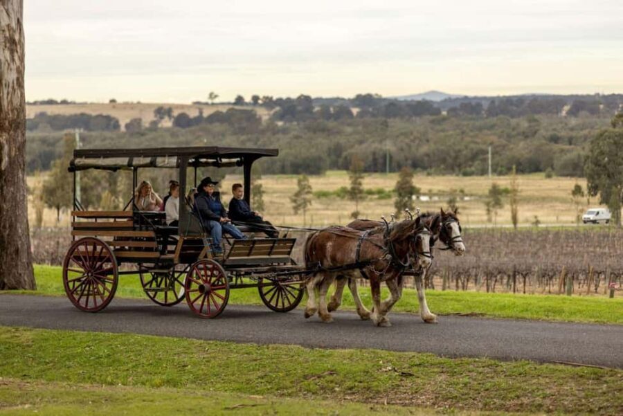 Pokolbin: Harvest the Hunter Horse Drawn Carriage Tour 3hrs - An In-Depth Look at the Experience