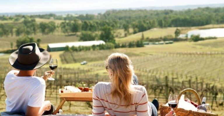 Pokolbin: Picnic & Wine Tasting at Audrey Wilkinson Vineyard - What to Expect: A Closer Look at the Experience