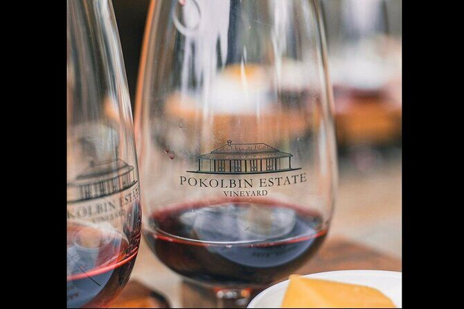 Pokolbin Wine Paddles - What to Expect During Your Experience
