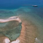 Ponton Day Trip SWIM with Turtles All meals included & Transport - Underwater Tunnel & Viewing