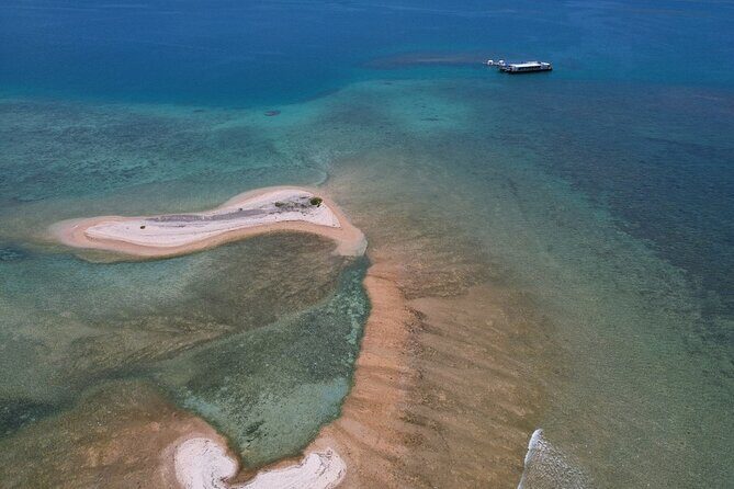 Ponton Day Trip SWIM with Turtles All meals included & Transport - Underwater Tunnel & Viewing
