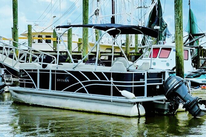 Pontoon Boat Rental Tybee Island - Who Should Consider This Experience?