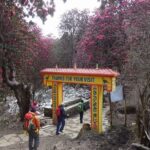 Poonhill Trek - A Day-by-Day Breakdown