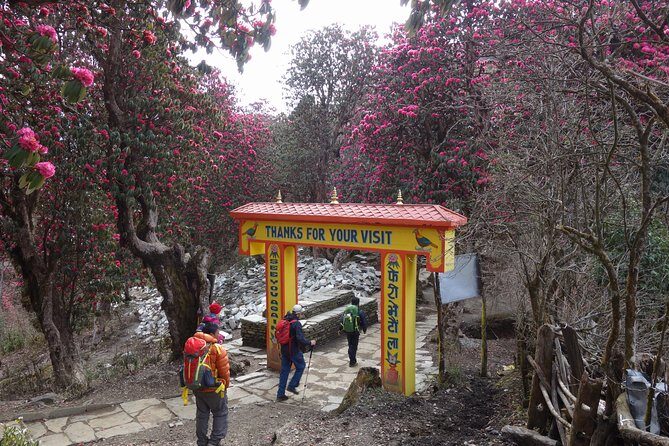 Poonhill Trek - A Day-by-Day Breakdown