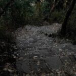 Popular One-Day Hiking Options near Kathmandu - The Sum Up