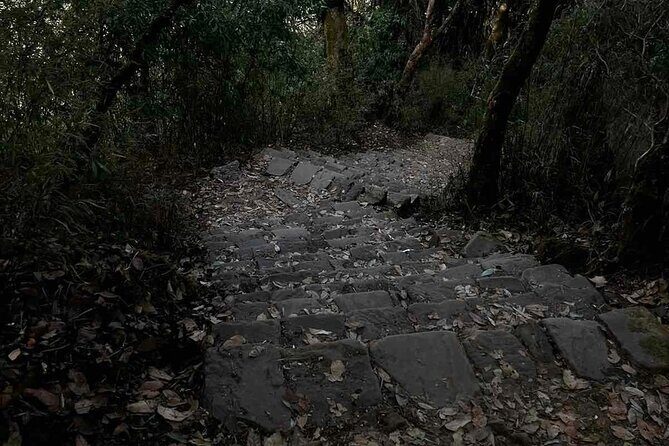 Popular One-Day Hiking Options near Kathmandu - The Sum Up