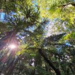 *Popular Tour* - Bay of Islands: Nature Adventure Tour - What’s Included and What’s Not