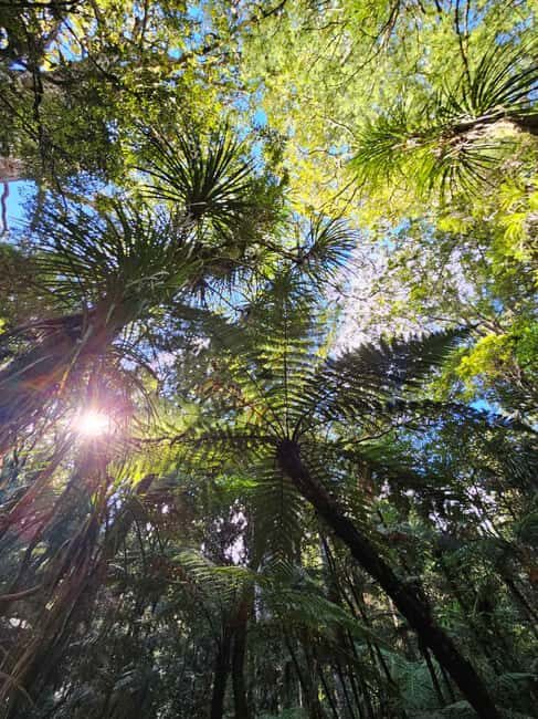 *Popular Tour* - Bay of Islands: Nature Adventure Tour - What’s Included and What’s Not