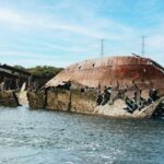 Port Adelaide: Dolphin and Ships Graveyard Cruise - Value for Money