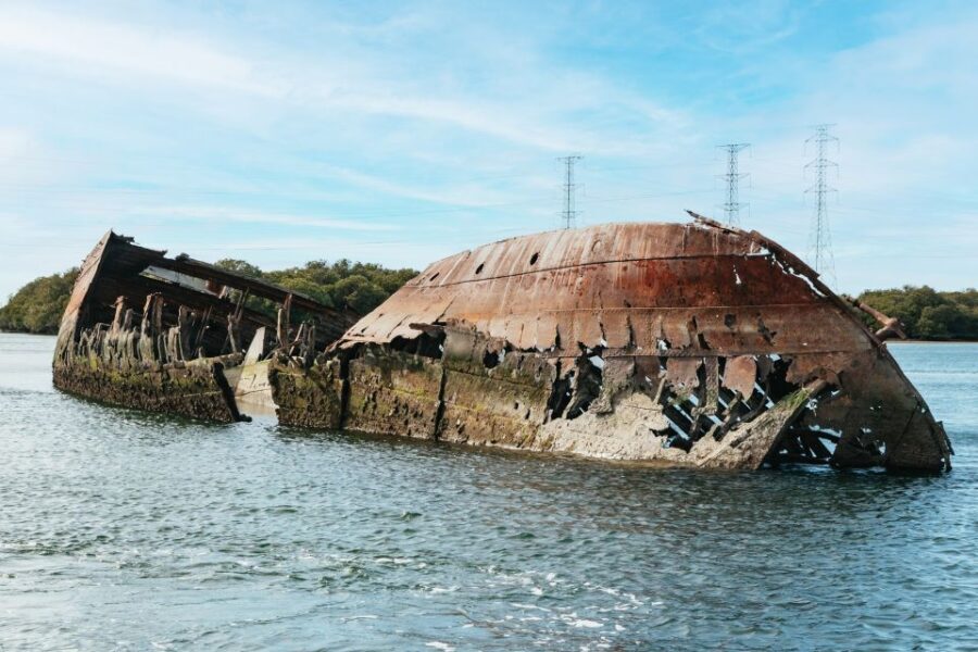 Port Adelaide: Dolphin and Ships Graveyard Cruise - Value for Money
