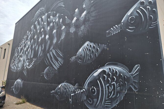 Port Adelaide Walking Tour and Dolphin Cruise - The Value and Practicalities of the Tour