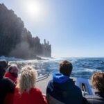 Port Arthur: Cape Raoul Wilderness Cruise - Detailed Itinerary and Experience Breakdown
