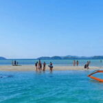 Port Barton: Island Hopping to Turtle Spot & Reef with Lunch - Detailed Breakdown of the Itinerary—What You Can Expect