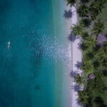 Port Barton: Island Hopping to Turtle Spot & Reef with Lunch - Who Will Love This Tour?